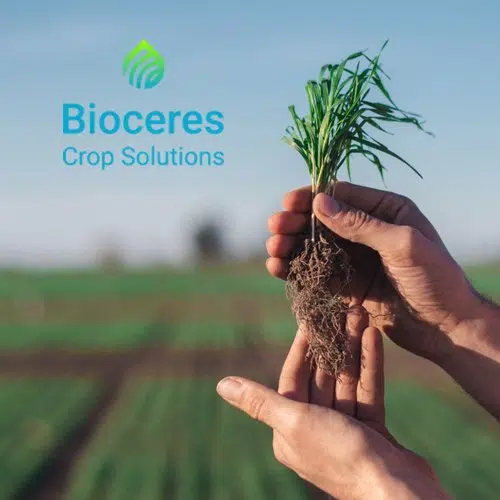 Advancing Sustainable Agriculture: Bioceres - Boundless Impact Research ...
